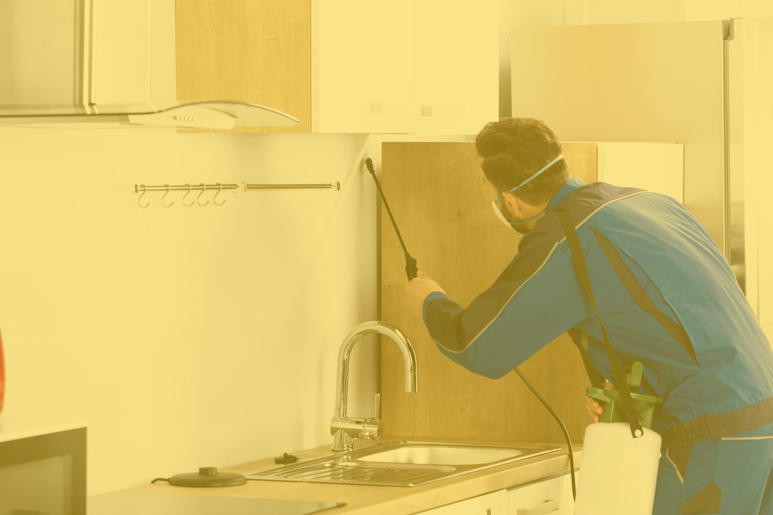 HOME PAGE 2 – Rose Hart Pest Control